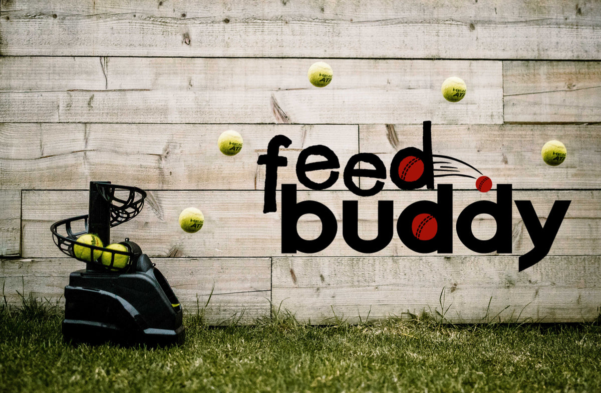 Feed Buddy - Automatic Cricket Feed Machine – The Female Cricket Store